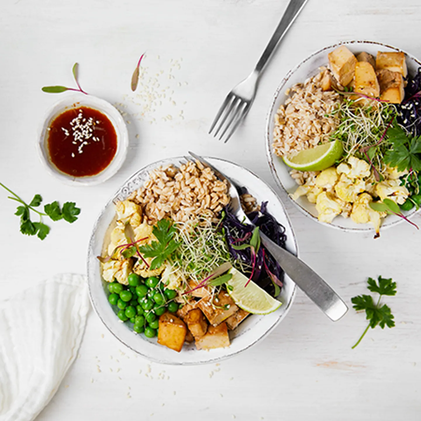 Oat rice – Great nutritional value wrapped in nice structure! - Fazer Mills