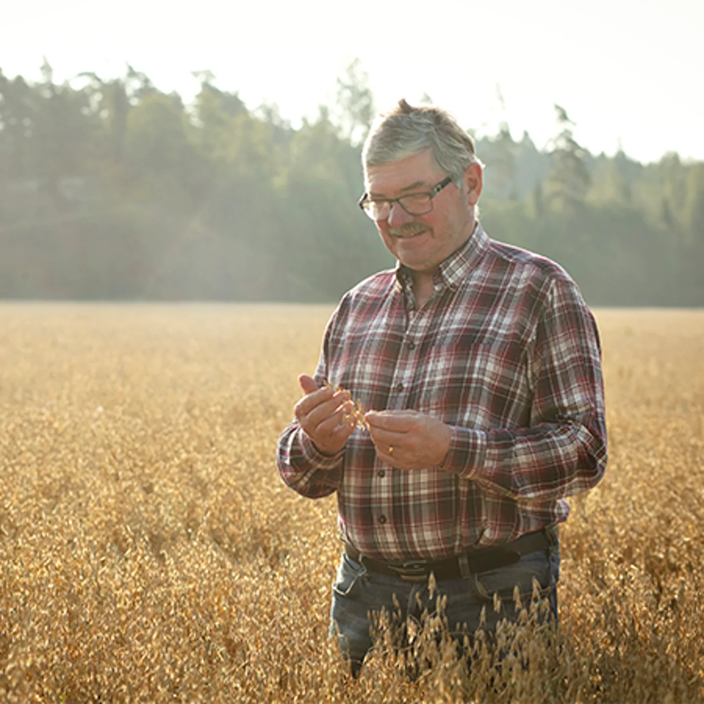 Fazer supports the training of Finnish farmers to increase regenerative ...